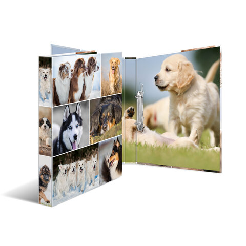 Ringband A4 karton 2D honden